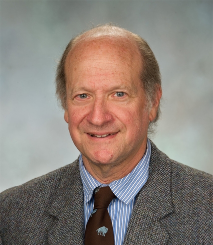 Faculty | Business | SUNY Buffalo State University